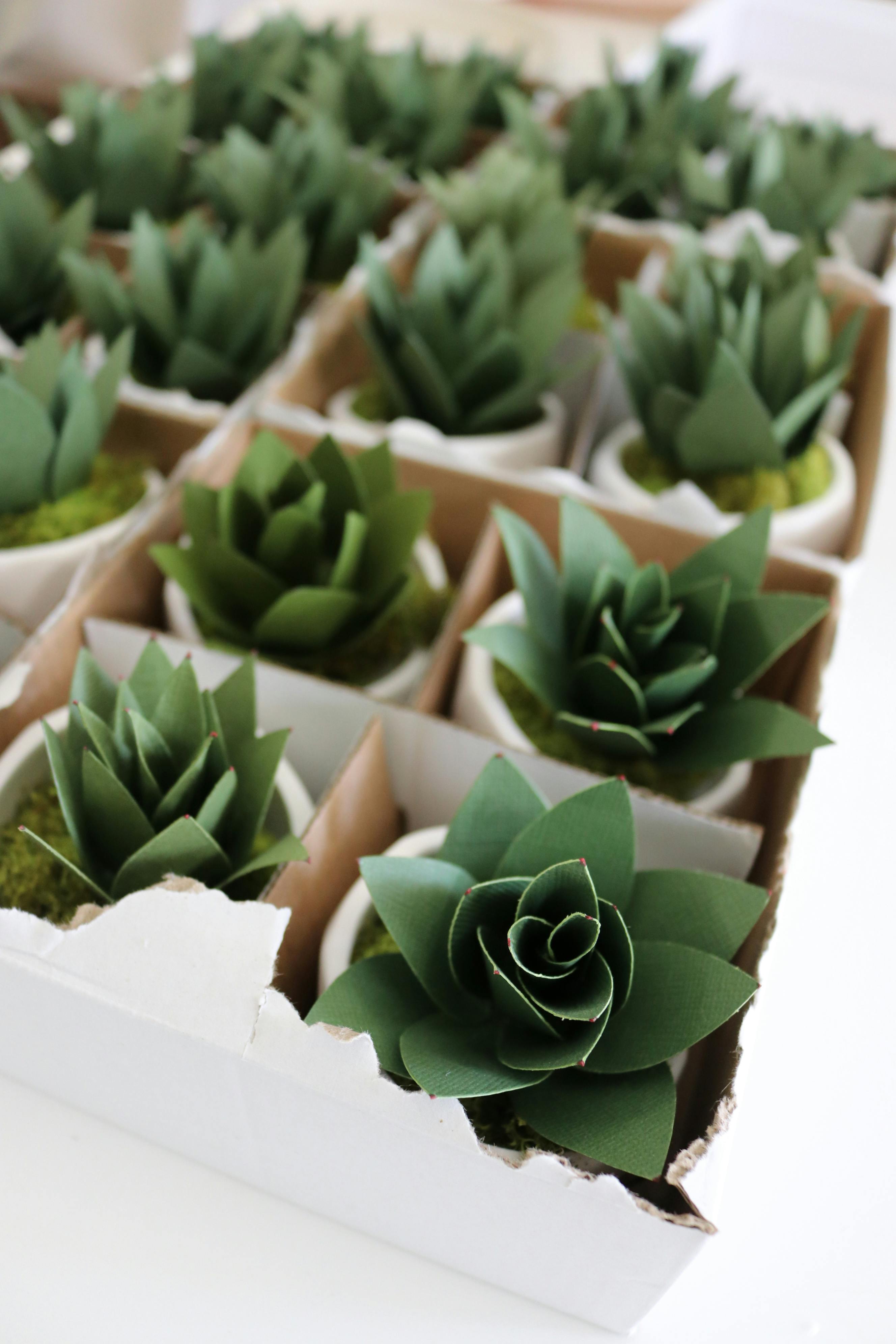 Make your own pretty paper succulents! | LoveCrafts