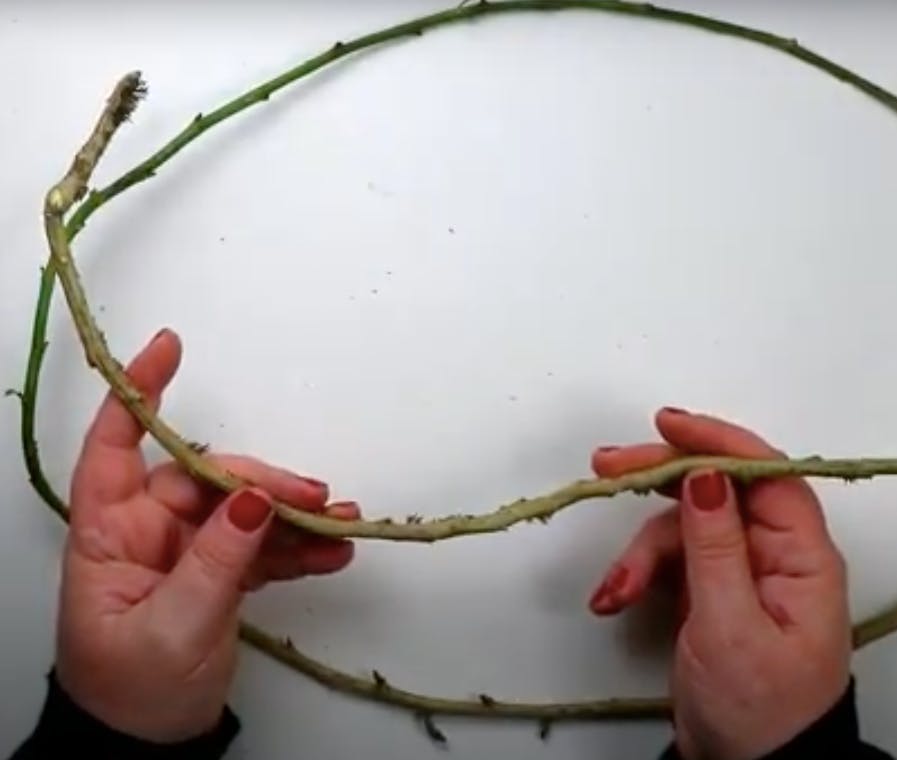 Make a Mistletoe Wreath | LoveCrafts